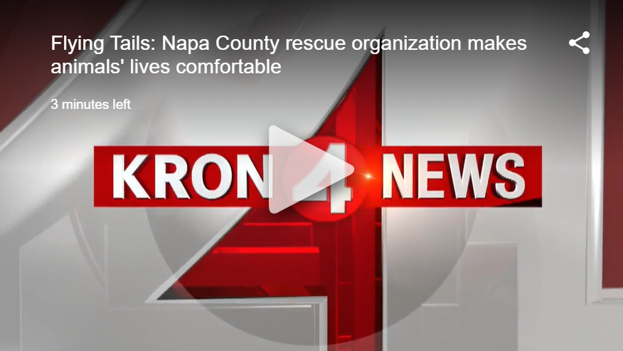 Home - Jameson Animal Rescue Ranch - Napa Valley